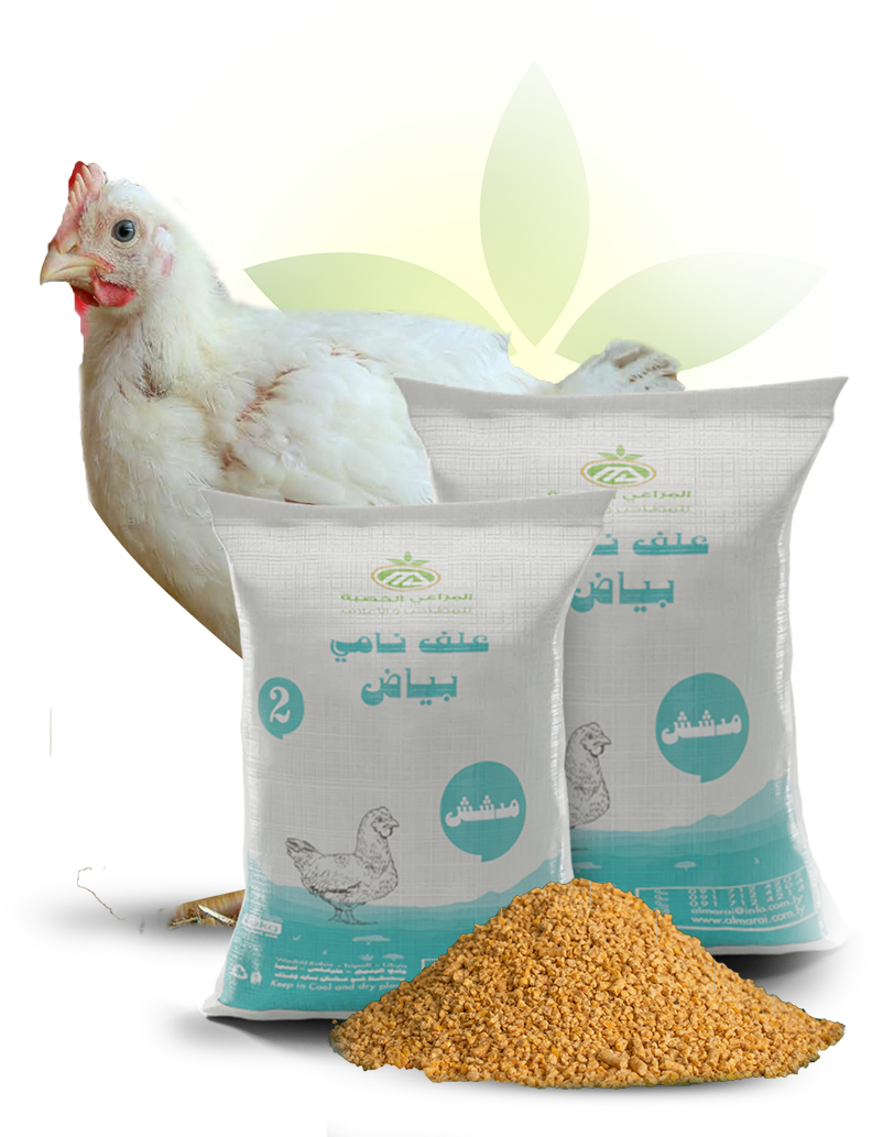 Poultry Feeds – Almarai Alkhisba